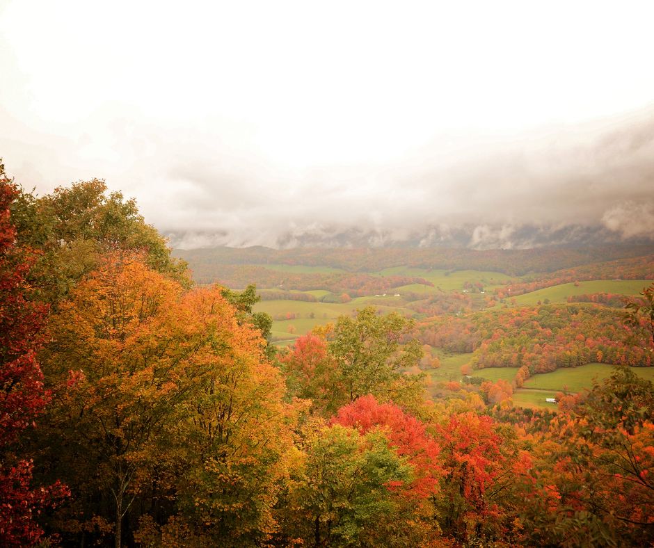 Get in the Seasonal Spirit with Fall Activities Near Knoxville - The ...